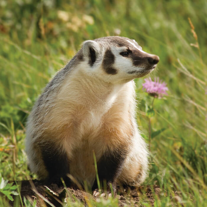 Working together for a national park reserve in South Okanagan ...